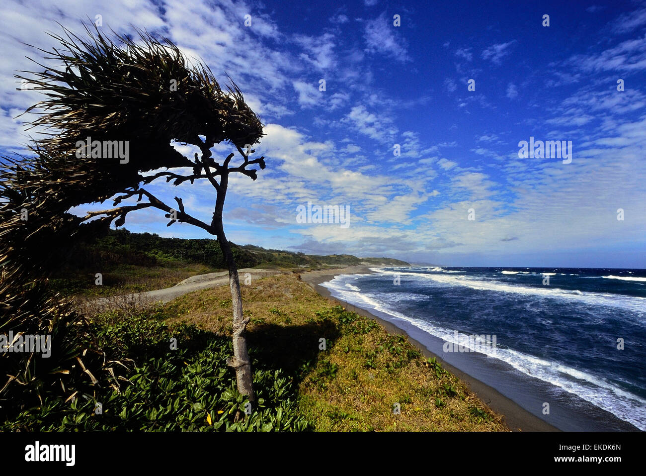 Sigatoka sand dunes National Park. Viti Levu. Fiji. South Pacific Stock ...