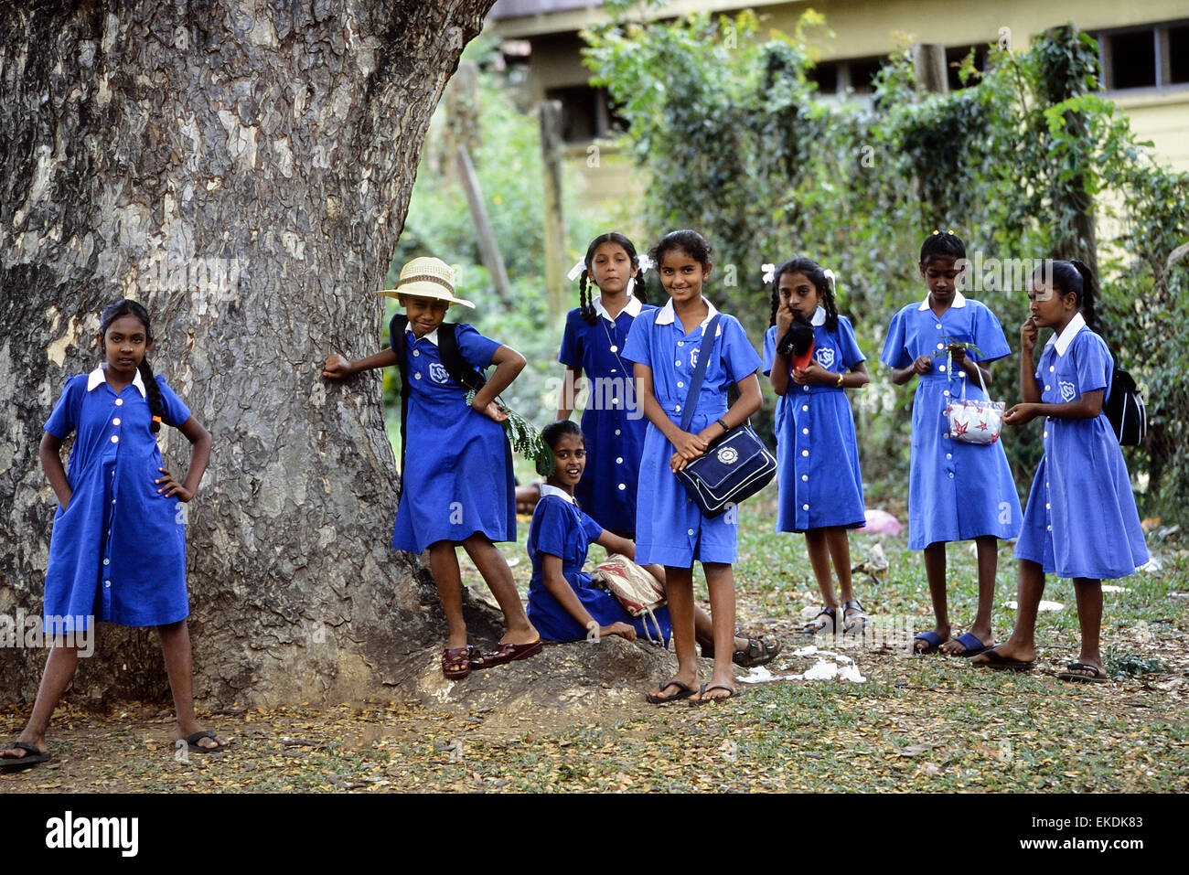 Fijian girls hi-res stock photography and images - Alamy