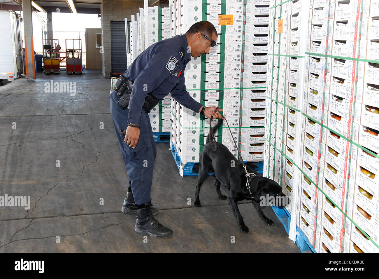 U.S. Customs and Border Protection (CBP) officers in Arizona use ...