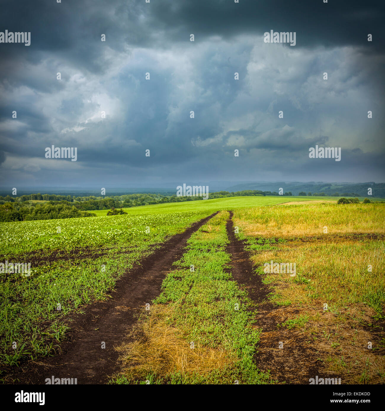 landscape with the sky Stock Photo - Alamy