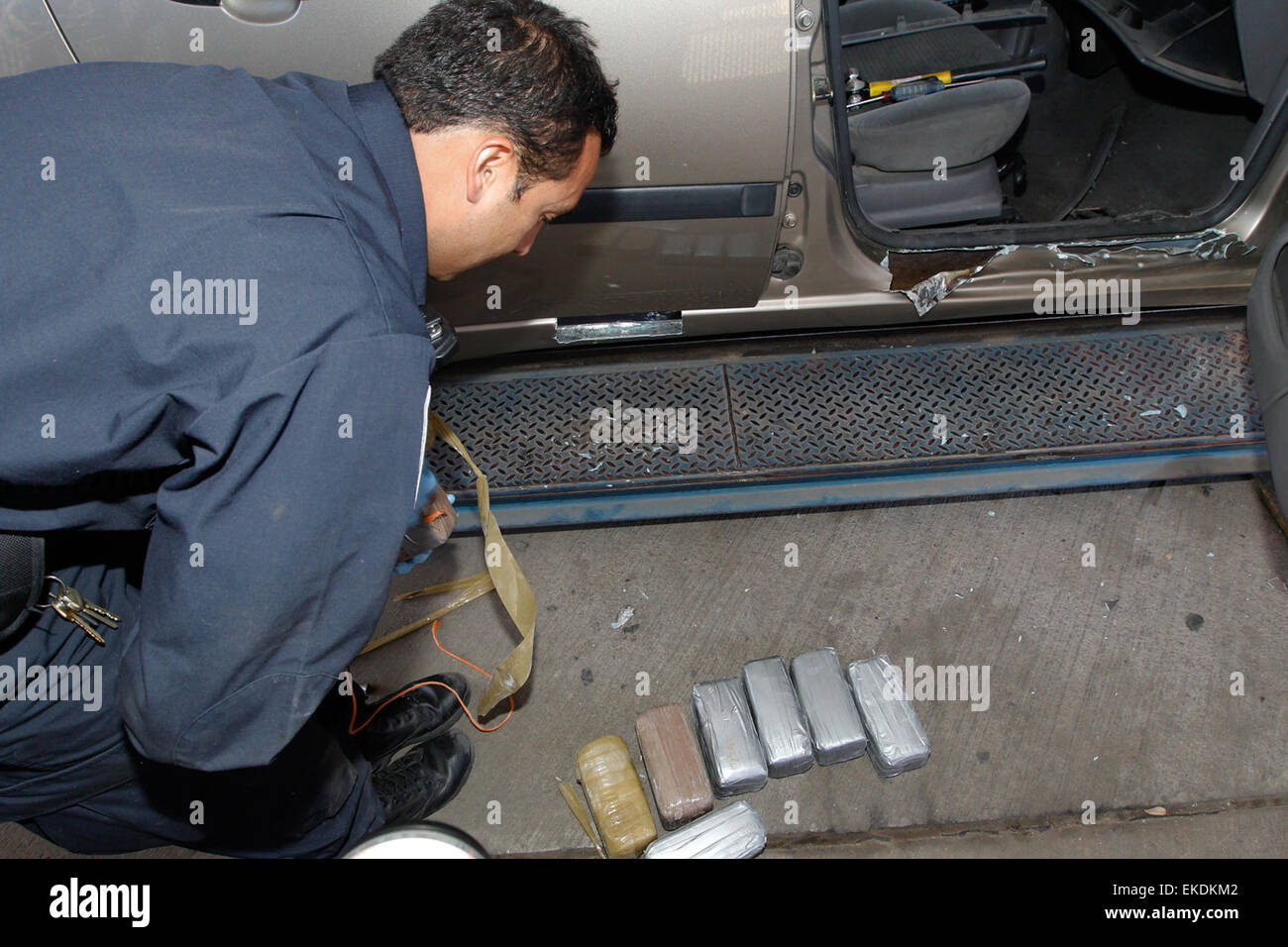 Canine inspections hi-res stock photography and images - Alamy