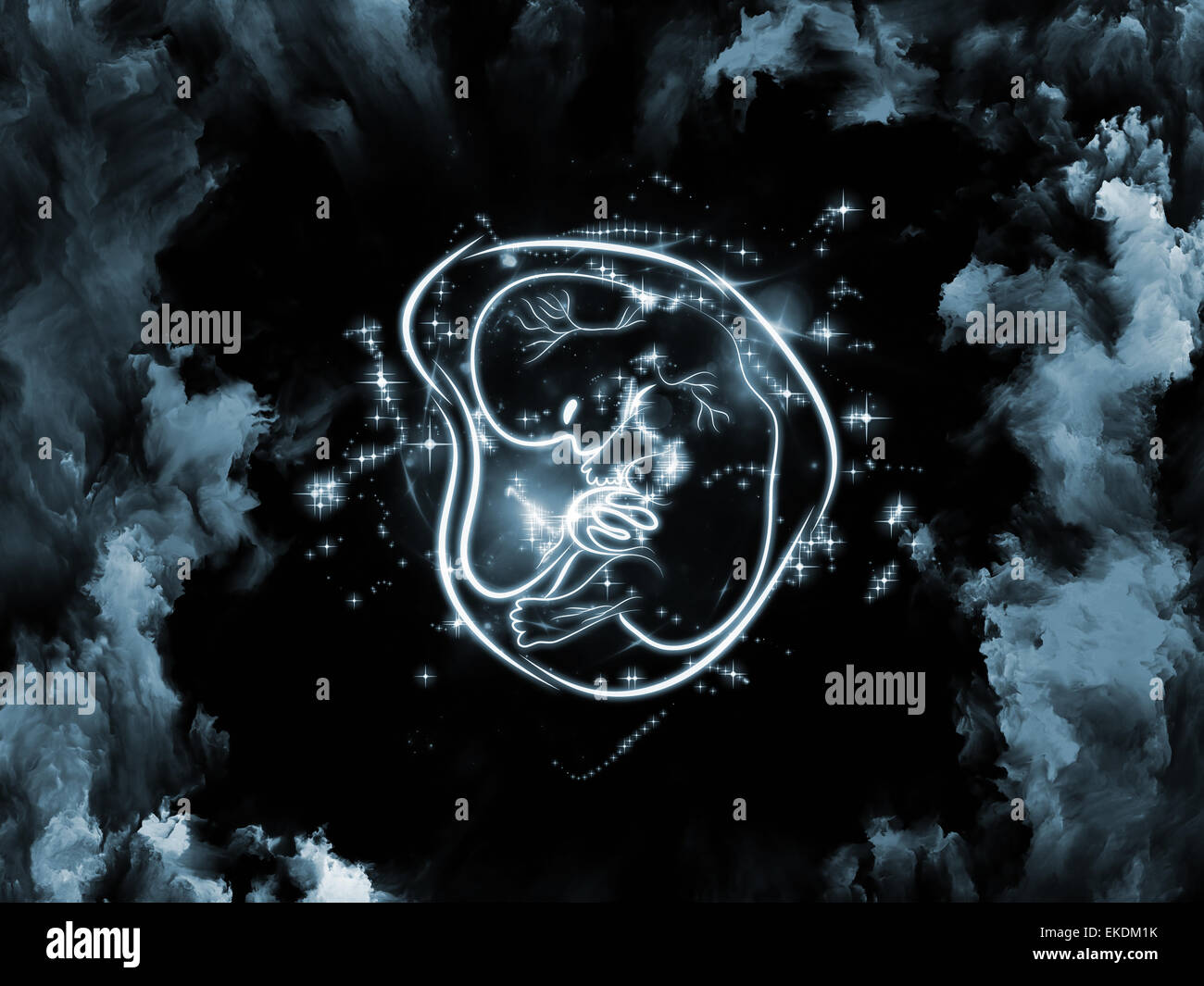 Placenta frame hi-res stock photography and images - Alamy