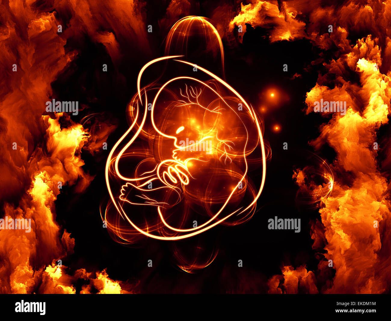 Placenta frame hi-res stock photography and images - Alamy