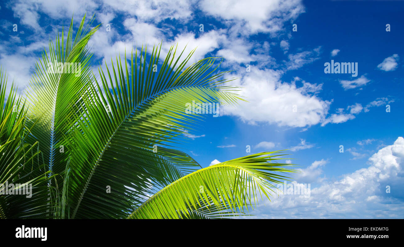 Azure and blue color hi-res stock photography and images - Alamy