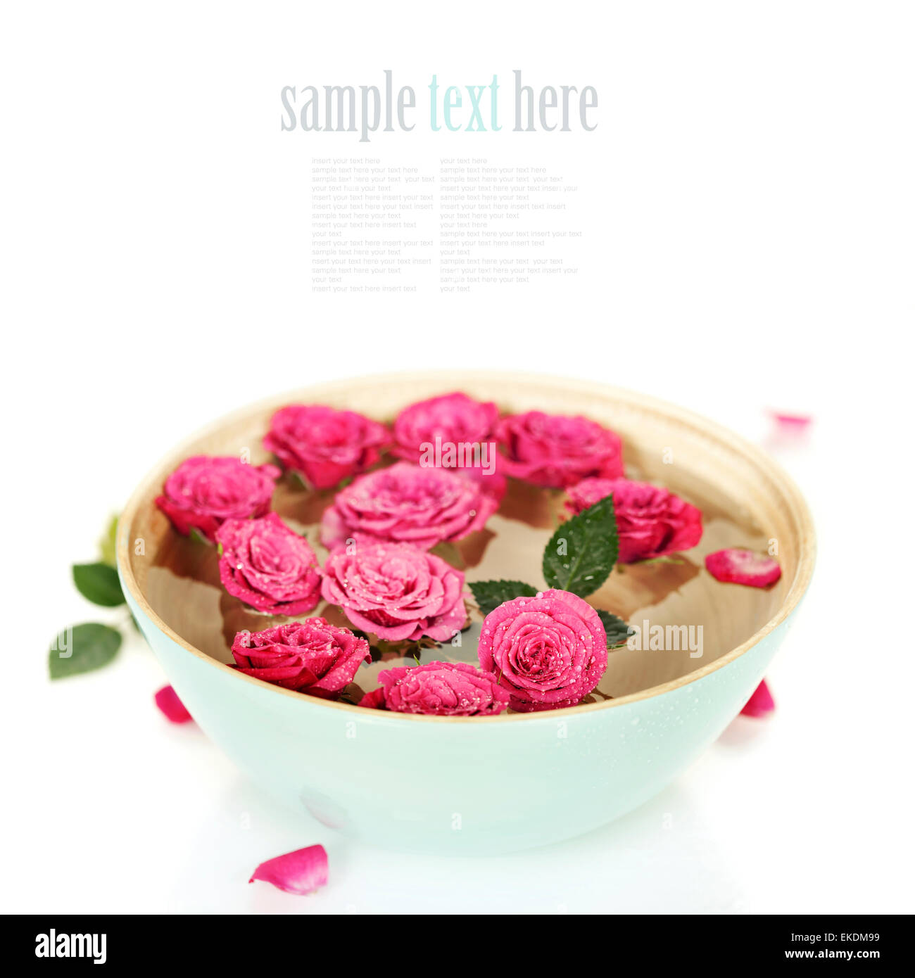 Floating Roses Water Bowl High Resolution Stock Photography and Images ...