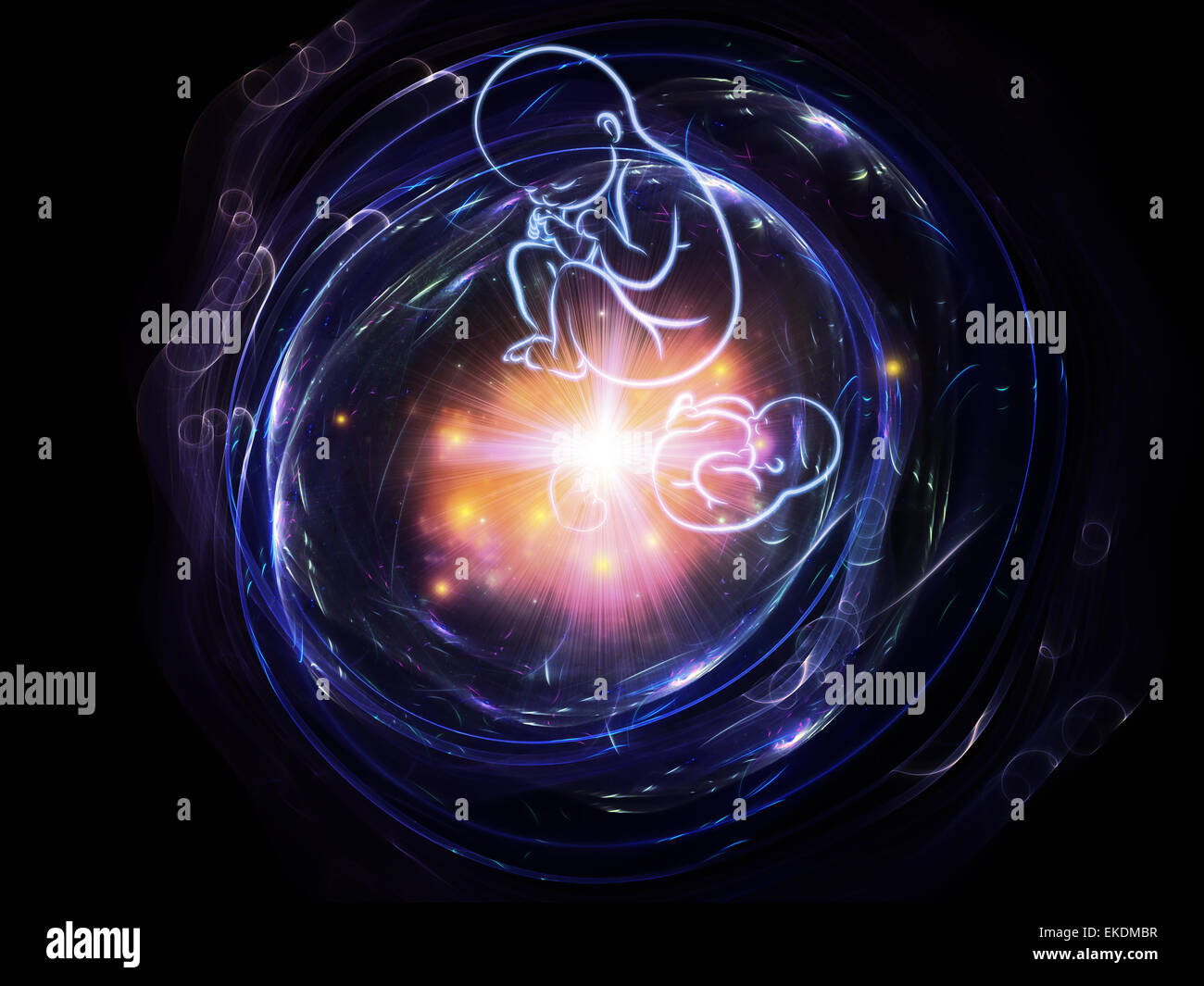 Growing Fetus High Resolution Stock Photography and Images - Alamy