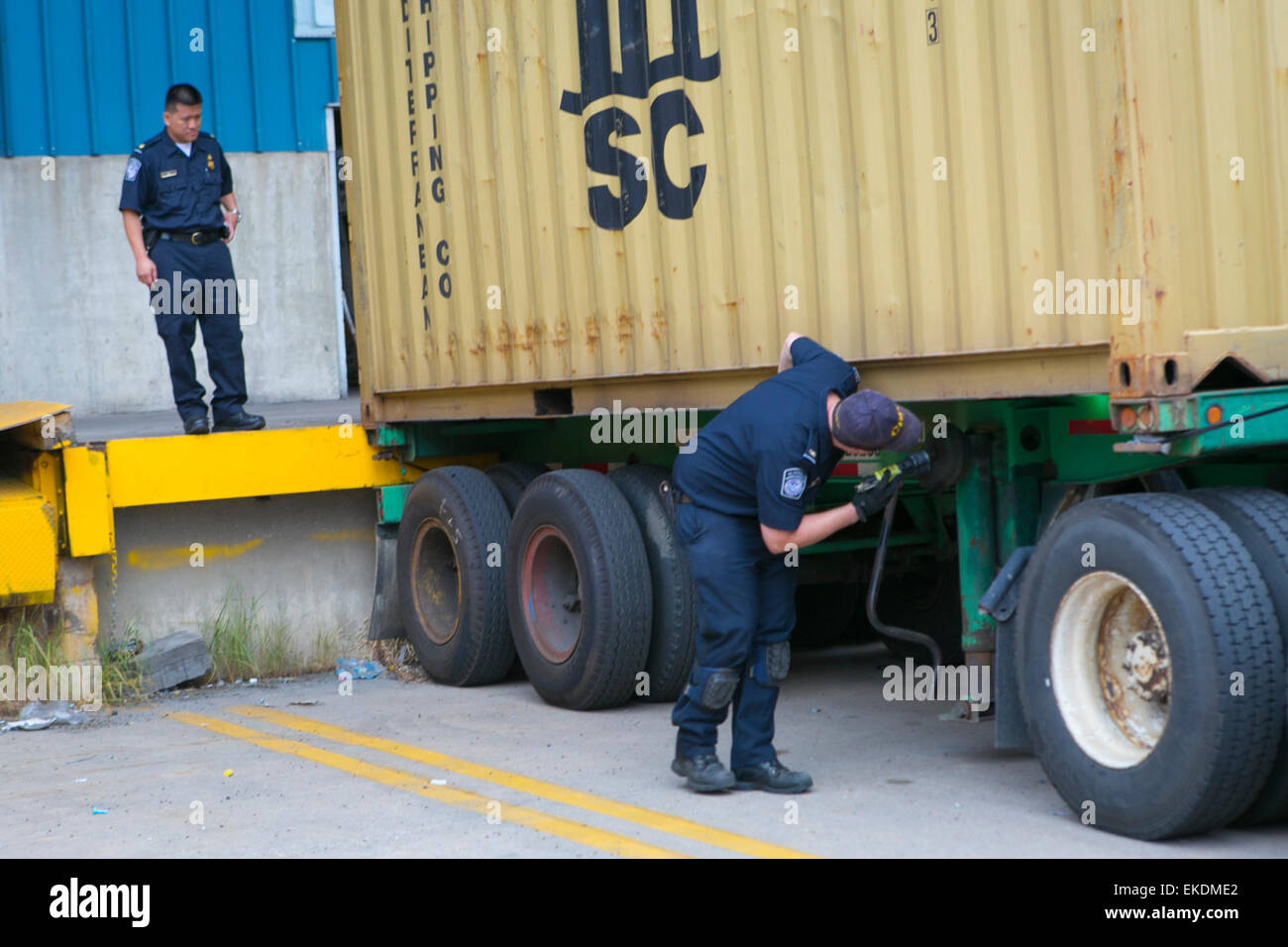 Agriculture specialists inspect containers at U.S. ports to detect and ...