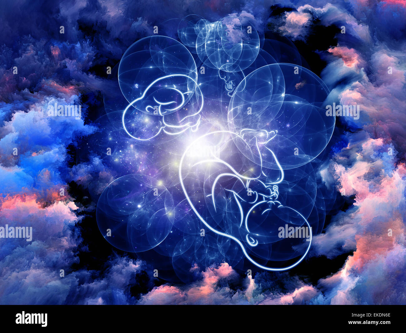 Placenta frame hi-res stock photography and images - Alamy