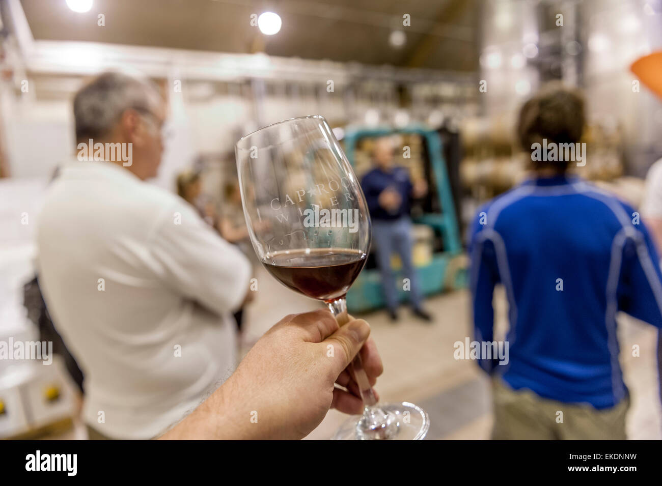 Wine tour of Cap Rock Winery, Lubbock, Texas. USA Stock Photo - Alamy