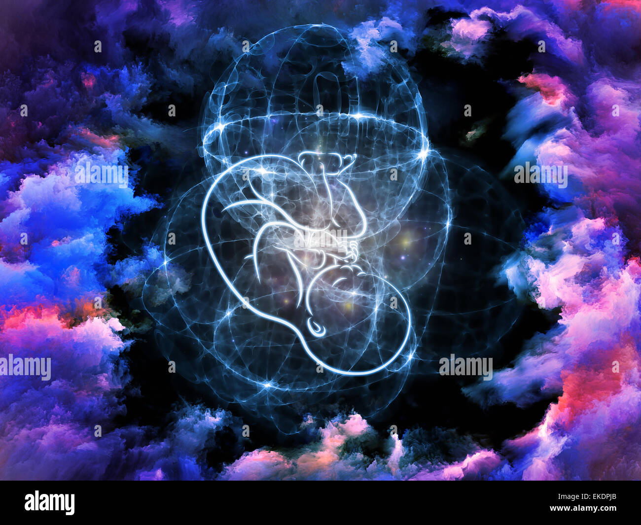 Placenta frame hi-res stock photography and images - Alamy
