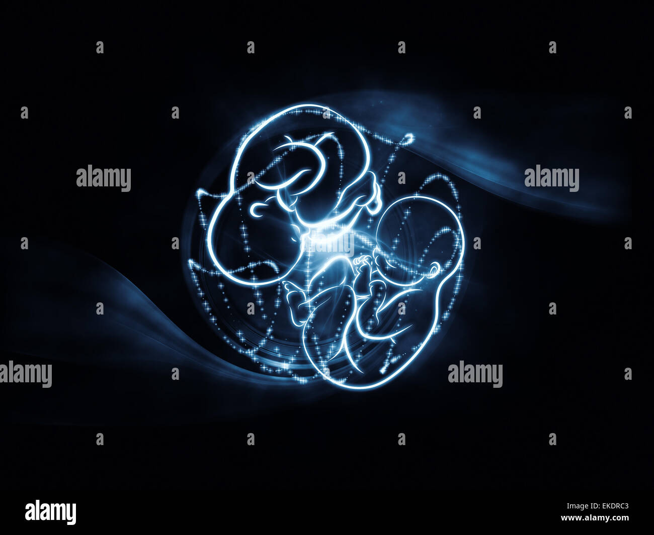 Fetal position in womb illustration hi-res stock photography and images ...