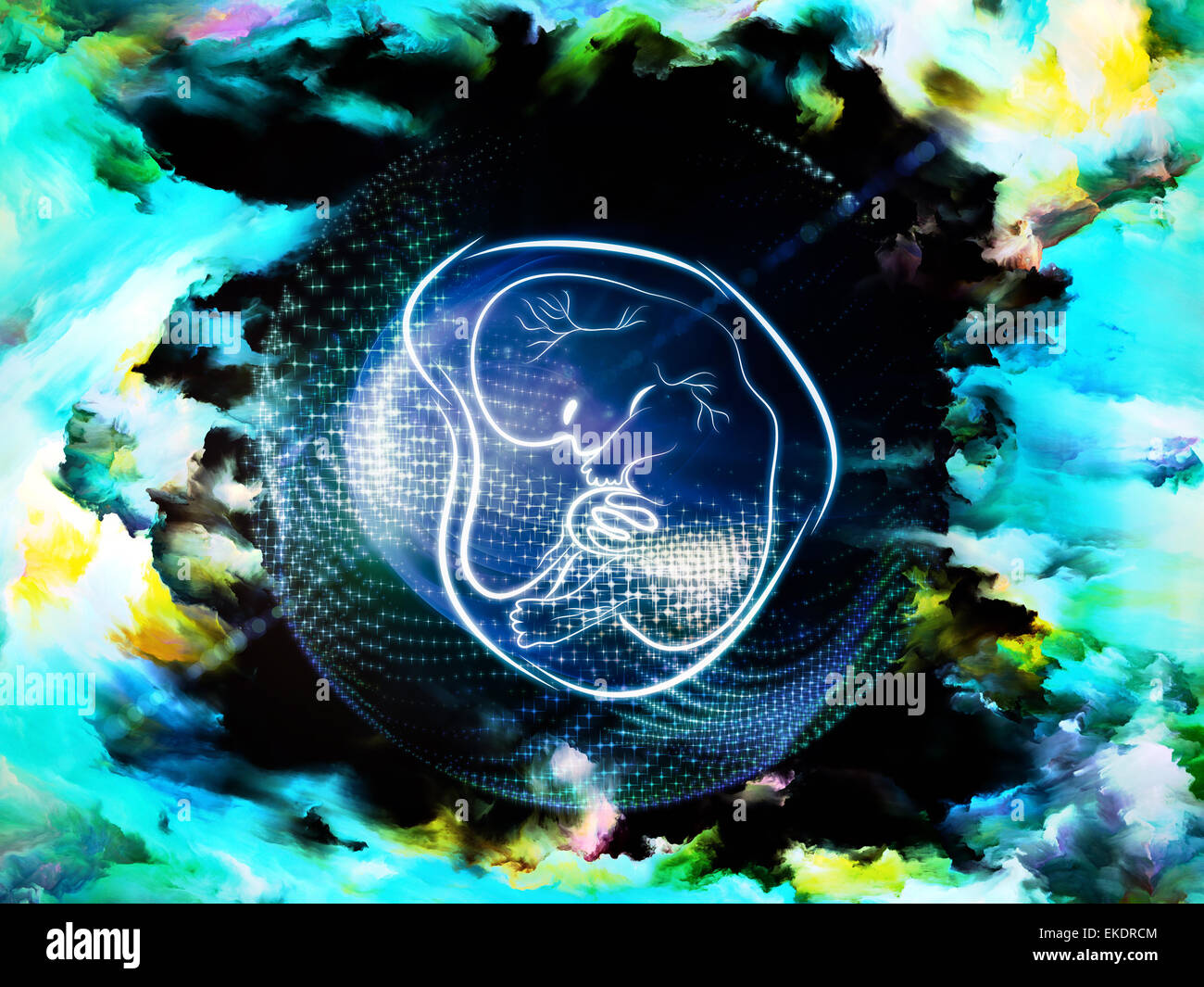 Placenta frame hi-res stock photography and images - Alamy