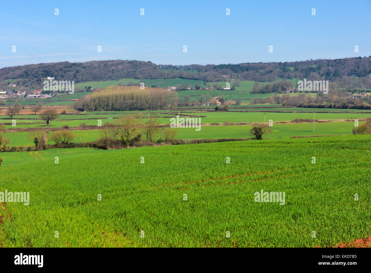 Somerset landscape hi-res stock photography and images - Alamy