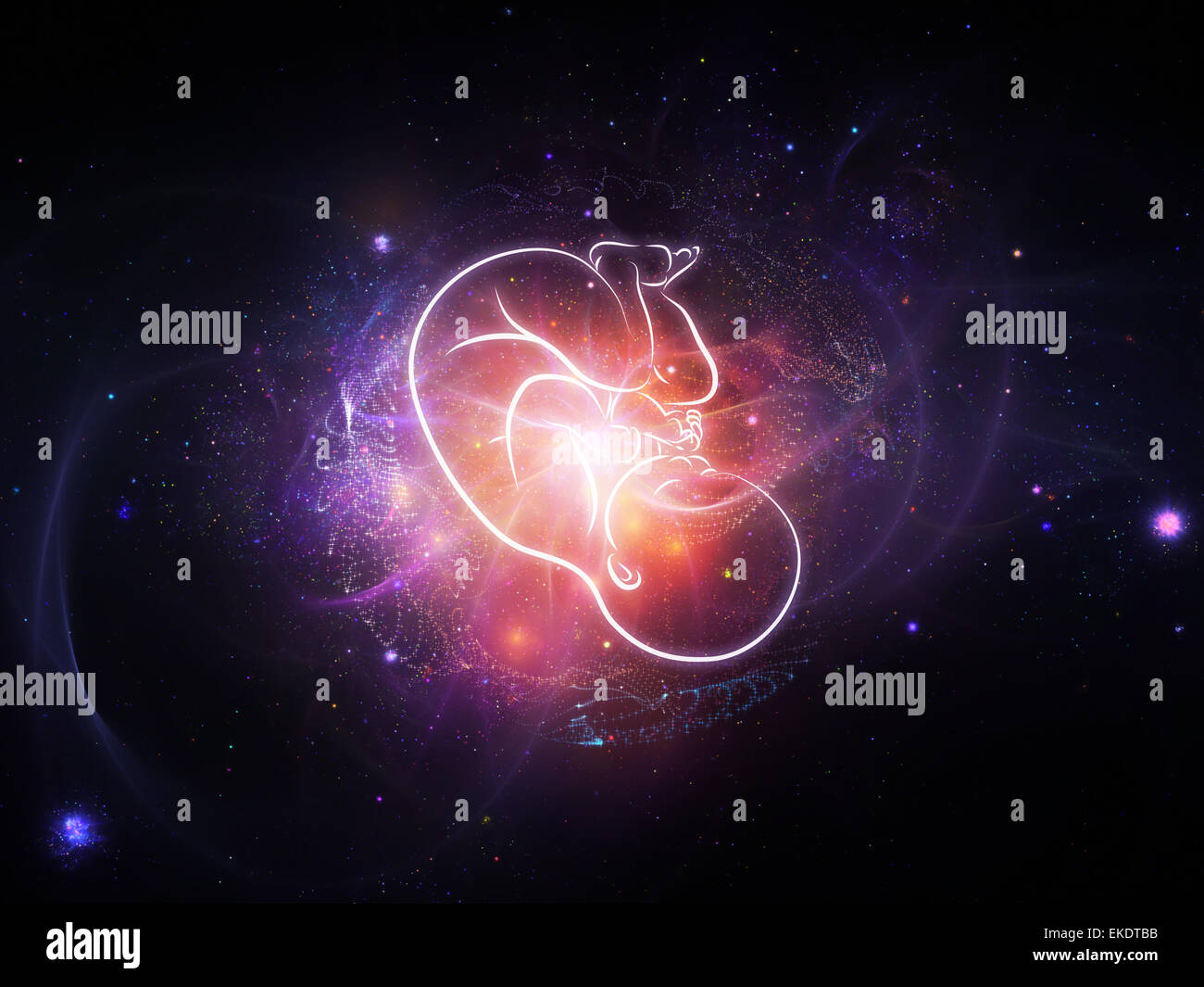 Baby in womb drawing hi-res stock photography and images - Alamy