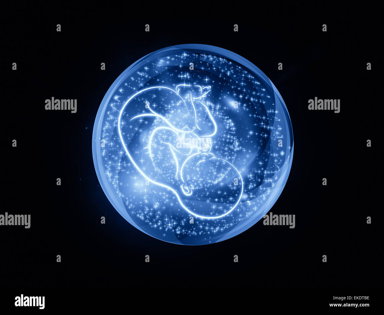 Fetus in utero fetal development hi-res stock photography and images ...