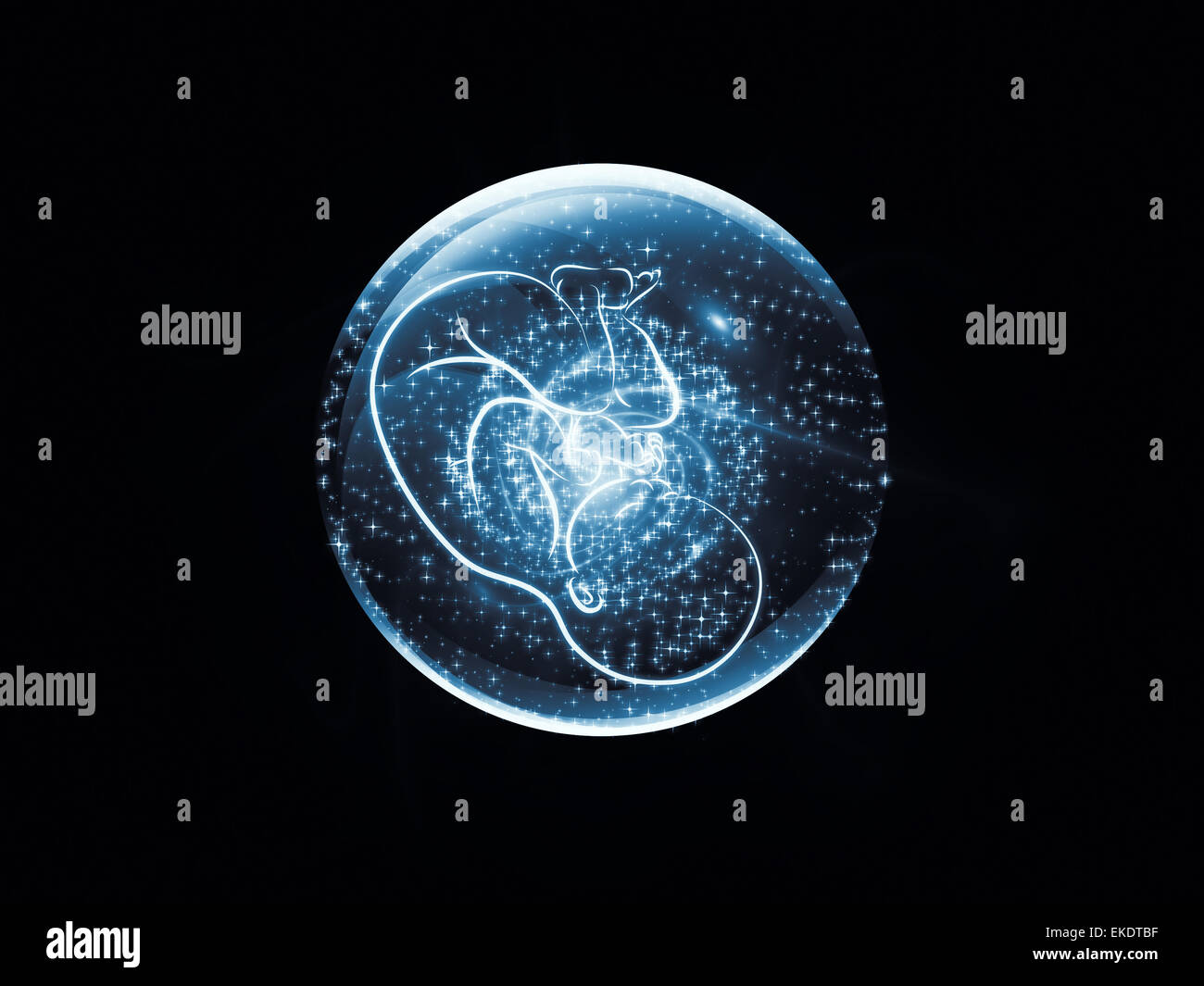 Placenta position hi-res stock photography and images - Alamy