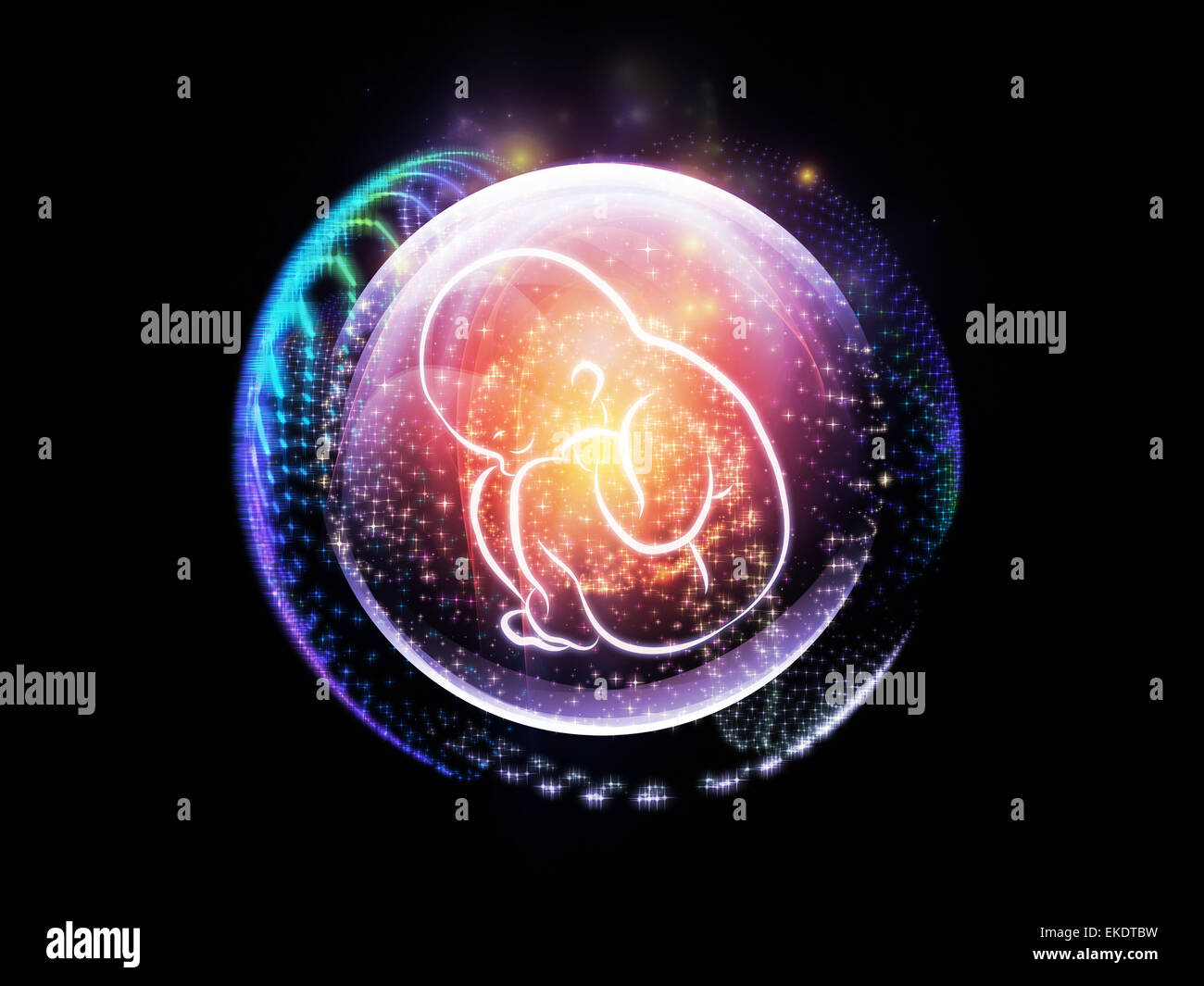 Fetus in utero fetal development hi-res stock photography and images ...