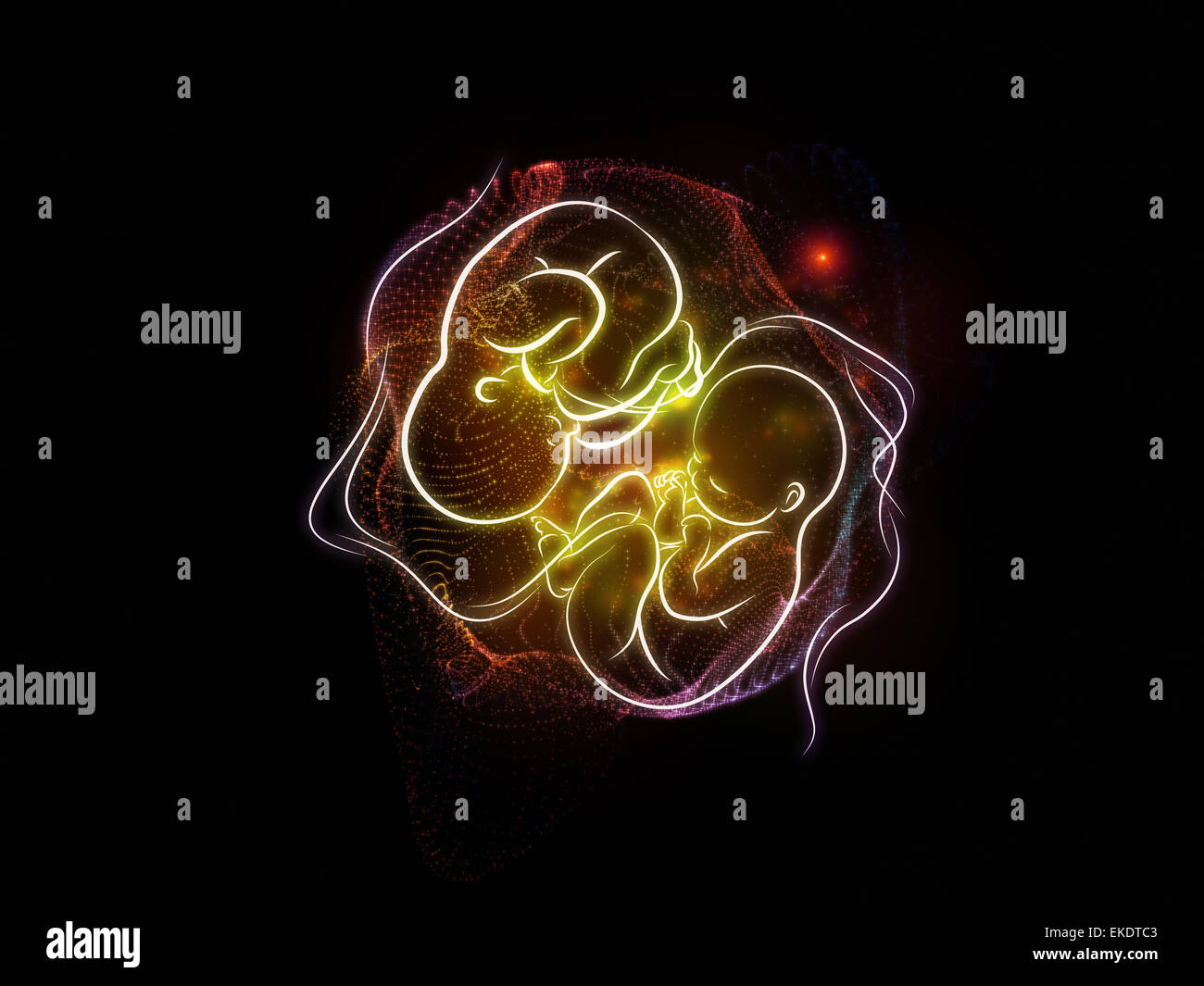 Fetal position in womb hi-res stock photography and images - Alamy
