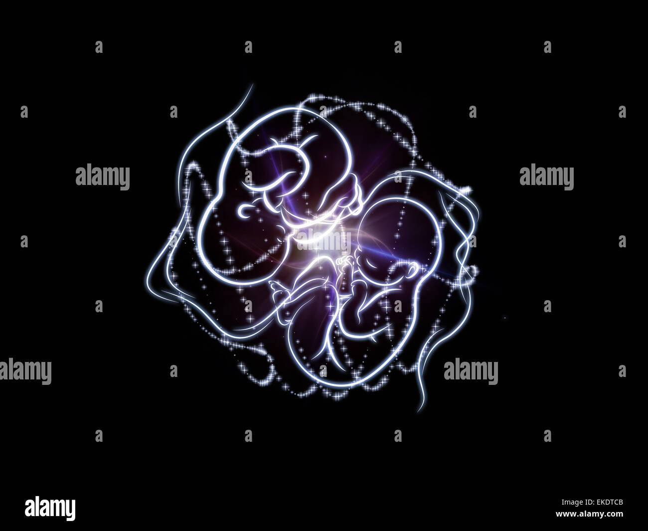 Placenta position hi-res stock photography and images - Alamy