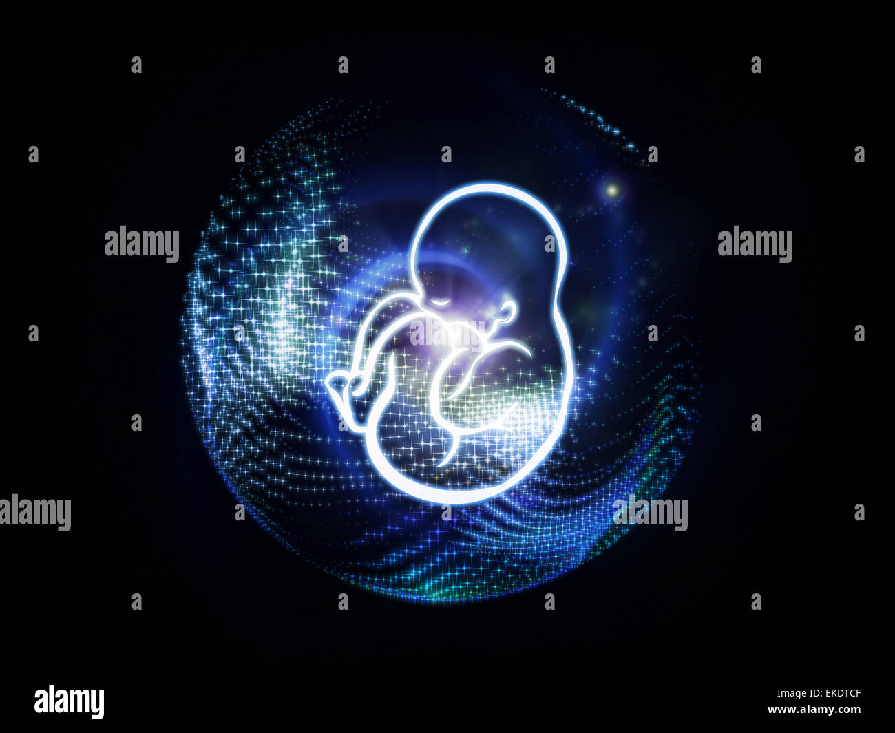 Baby in womb drawing hi-res stock photography and images - Alamy