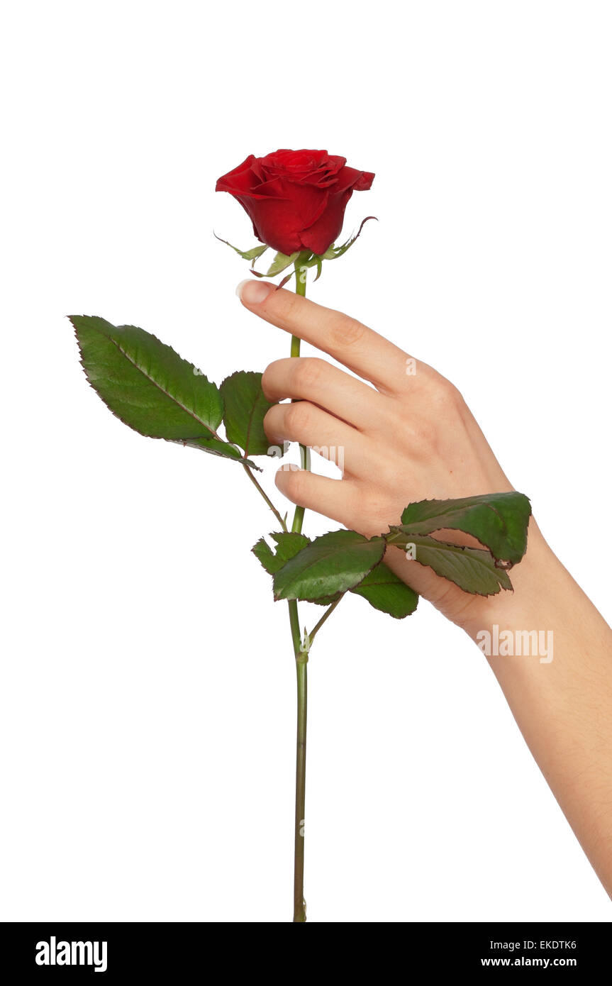 The red rose girls hi-res stock photography and images - Alamy