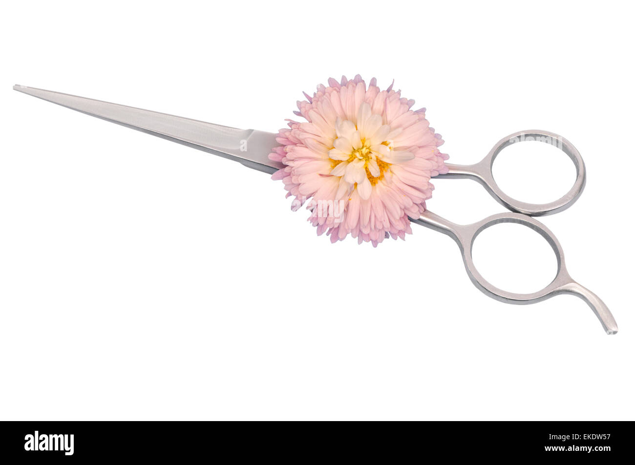 Closed scissors hi-res stock photography and images - Alamy