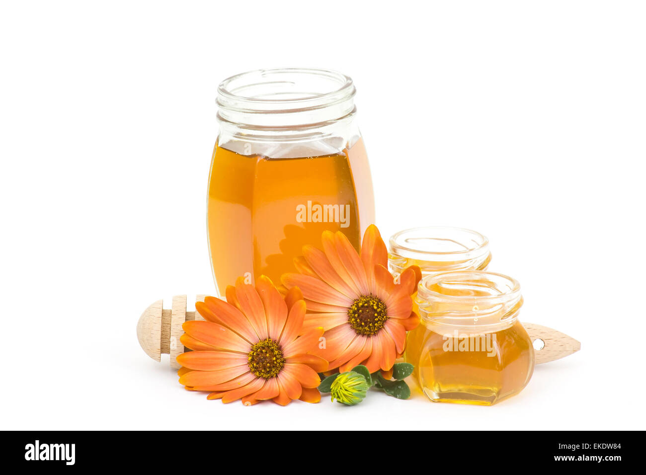 Honey pot flower hi-res stock photography and images - Alamy
