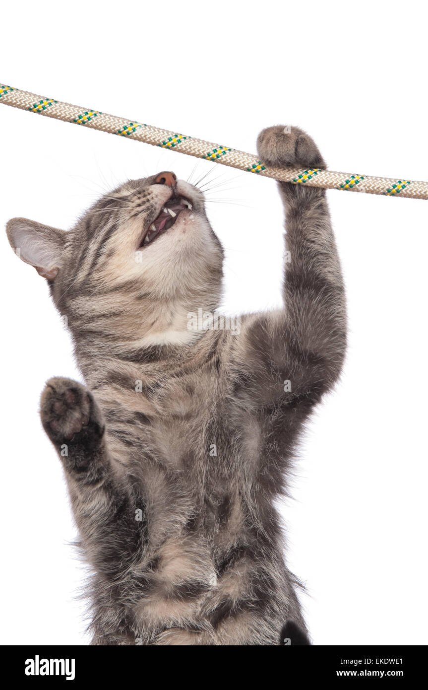 last strength to survive Stock Photo - Alamy