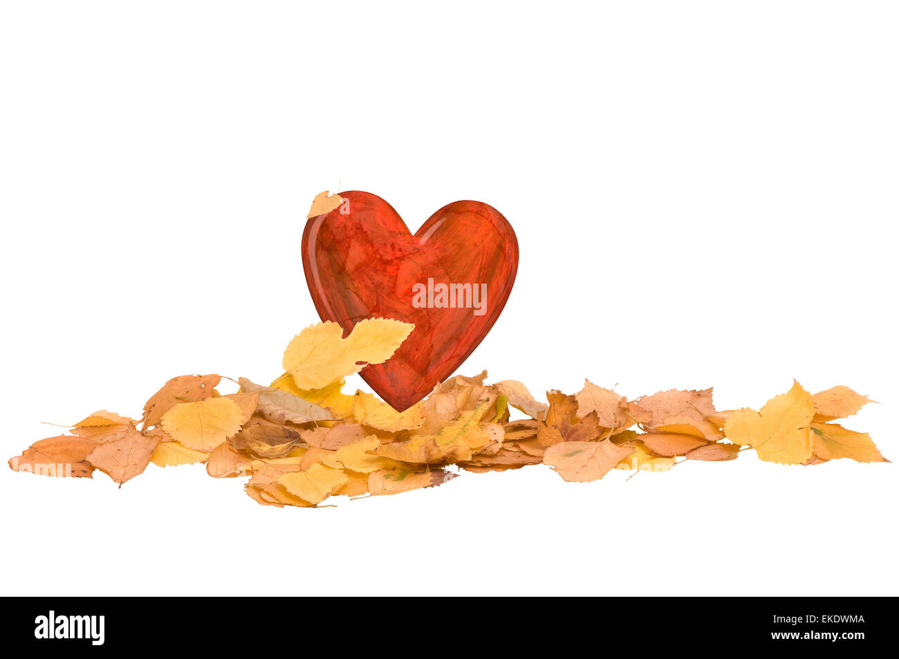 Autumn leaf heart on Cut Out Stock Images & Pictures - Alamy