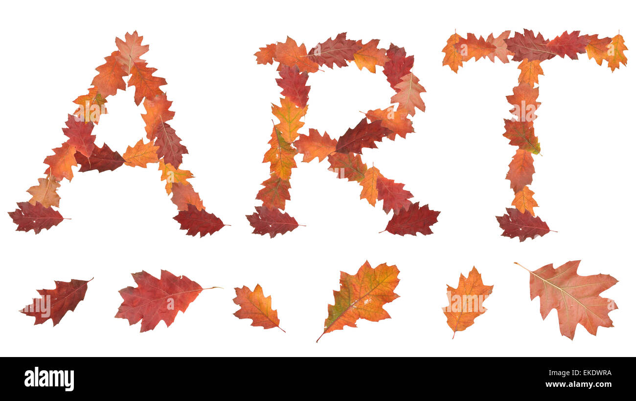 Oak button Cut Out Stock Images & Pictures - Alamy