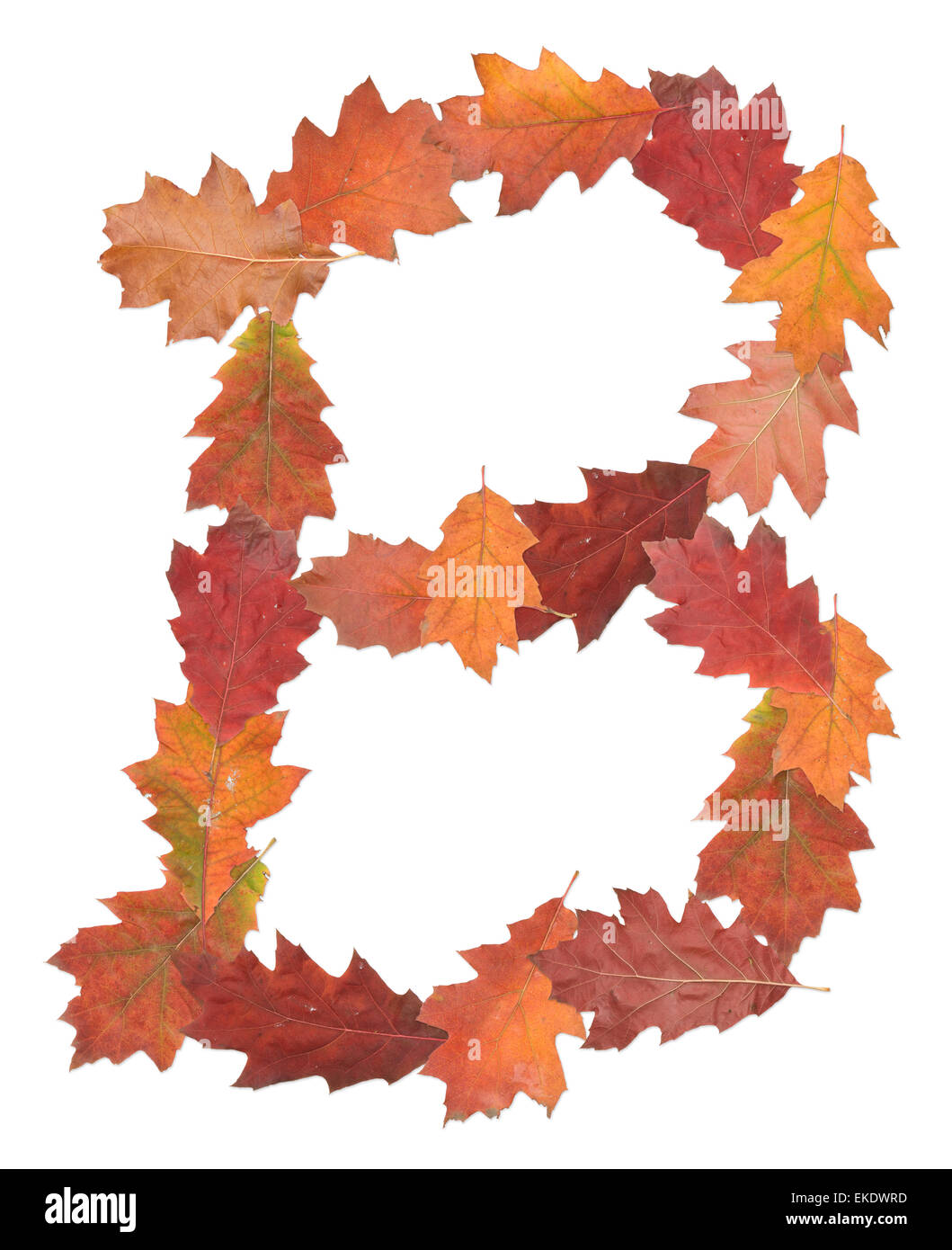 Letter b leaves hi-res stock photography and images - Alamy