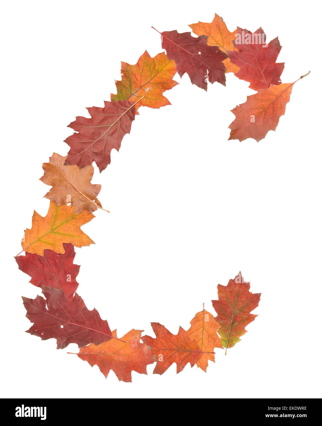 Letter c plant hi-res stock photography and images - Alamy