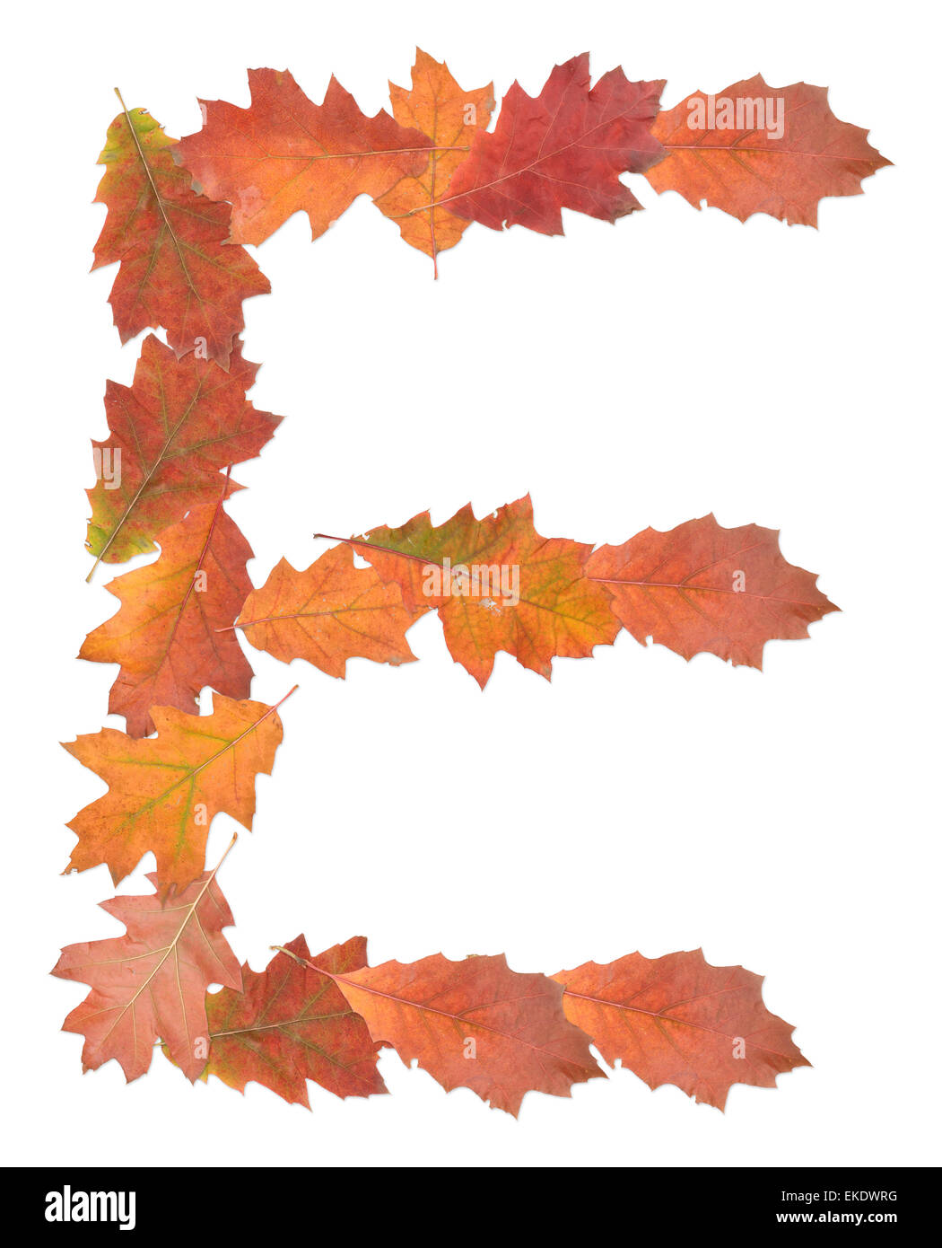 E letter with leaf Cut Out Stock Images & Pictures - Alamy