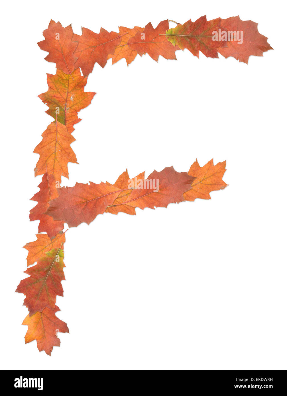 Letter f leaves hi-res stock photography and images - Alamy