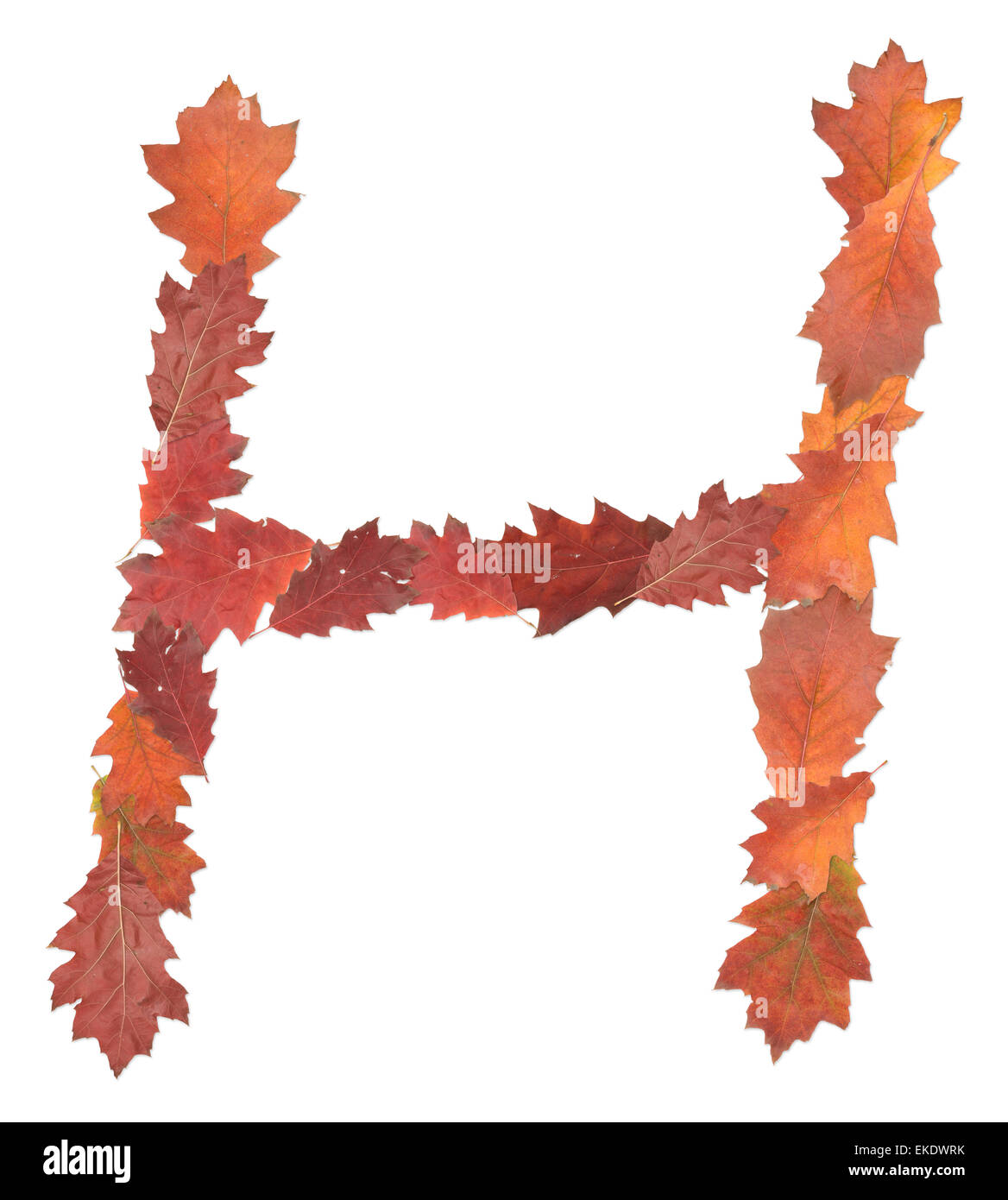 Letter leaves hi-res stock photography and images - Alamy