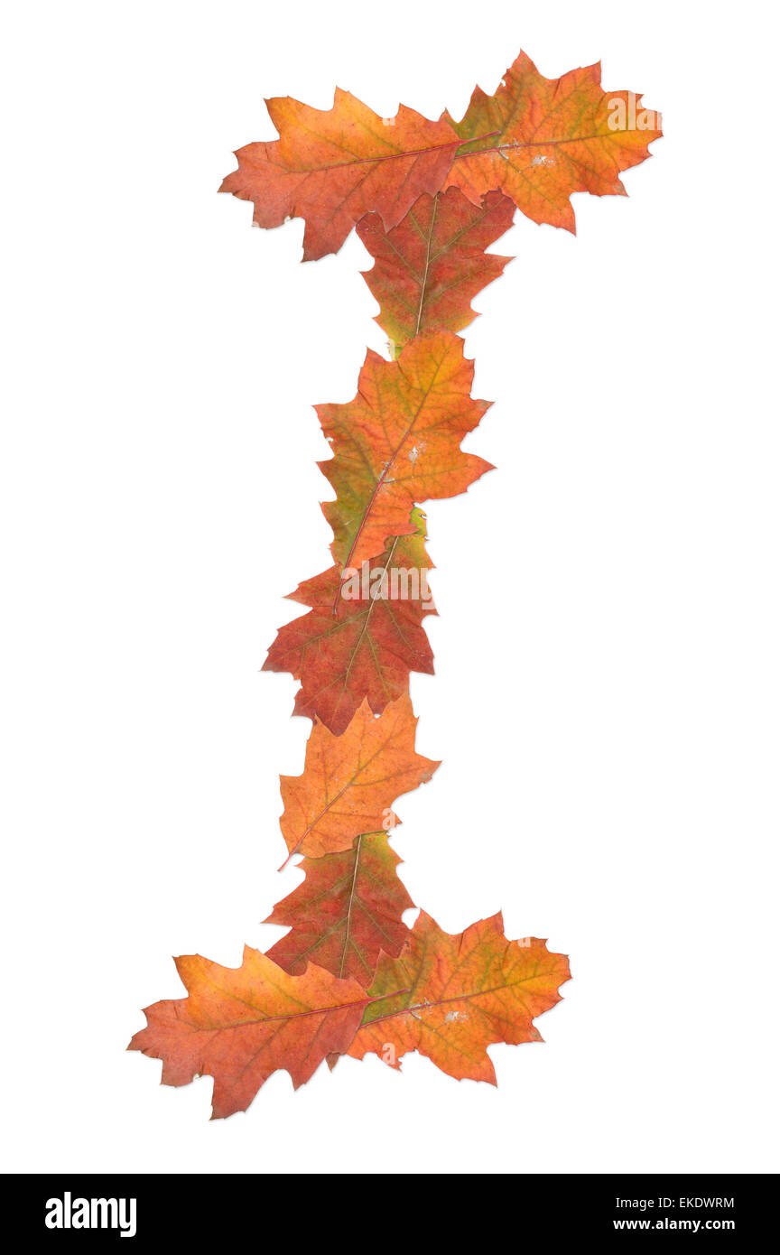 Letter i leaves hi-res stock photography and images - Alamy