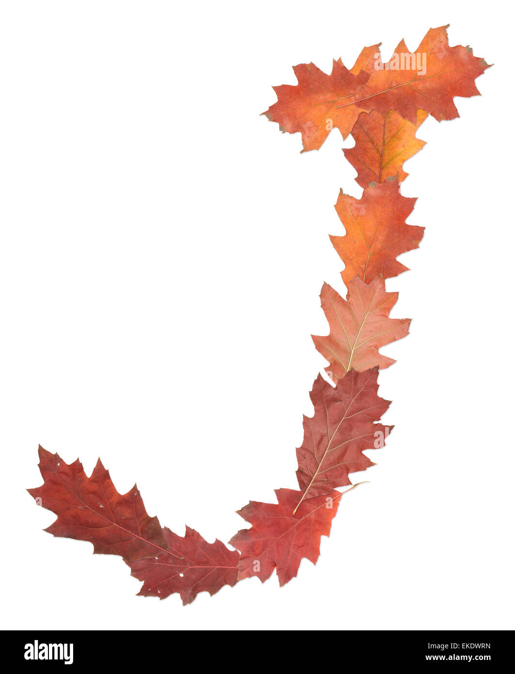 Alphabet letter nature j hi-res stock photography and images - Alamy