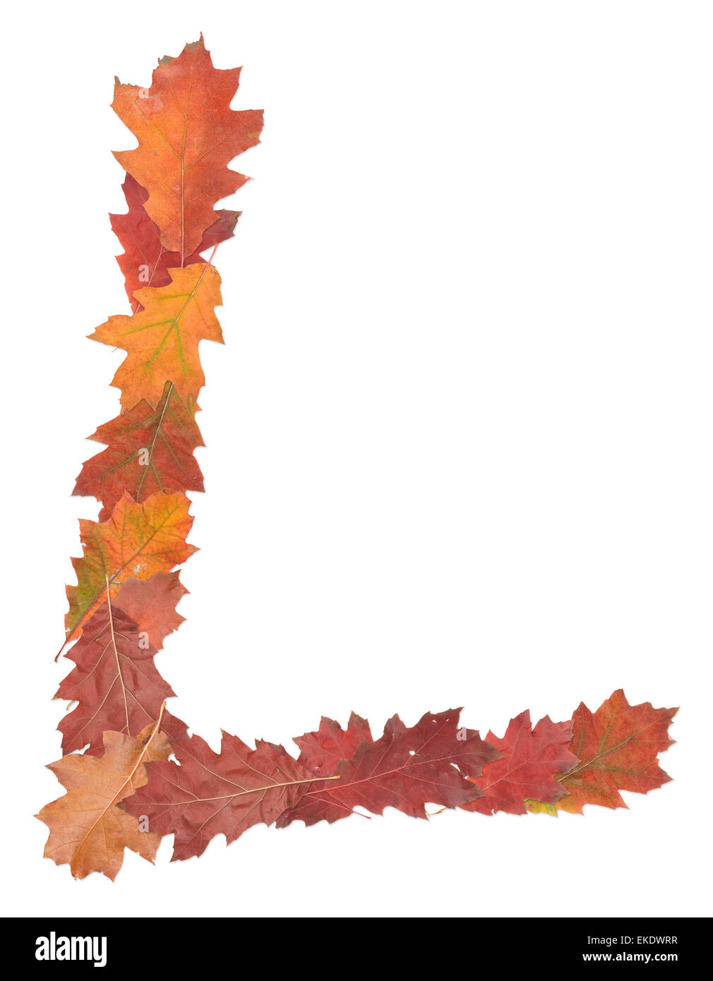 L Is For Leaf
