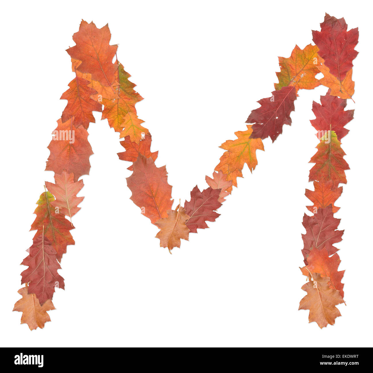 Letter m leaves hi-res stock photography and images - Alamy