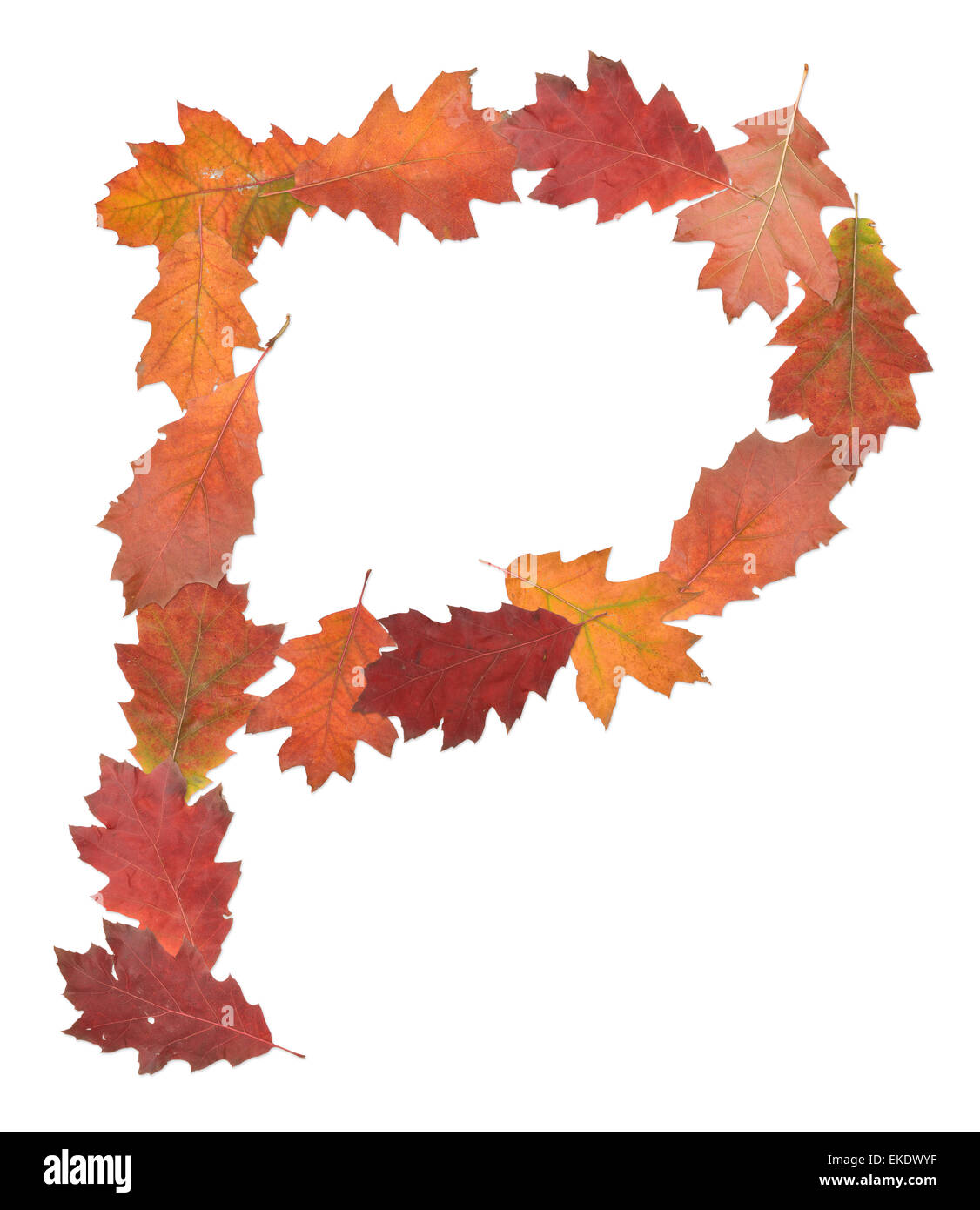 Letter p leaves hi-res stock photography and images - Alamy