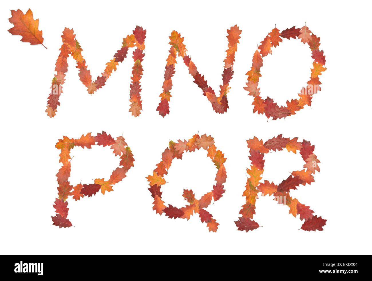 alphabet made of autumn leaves Stock Photo - Alamy