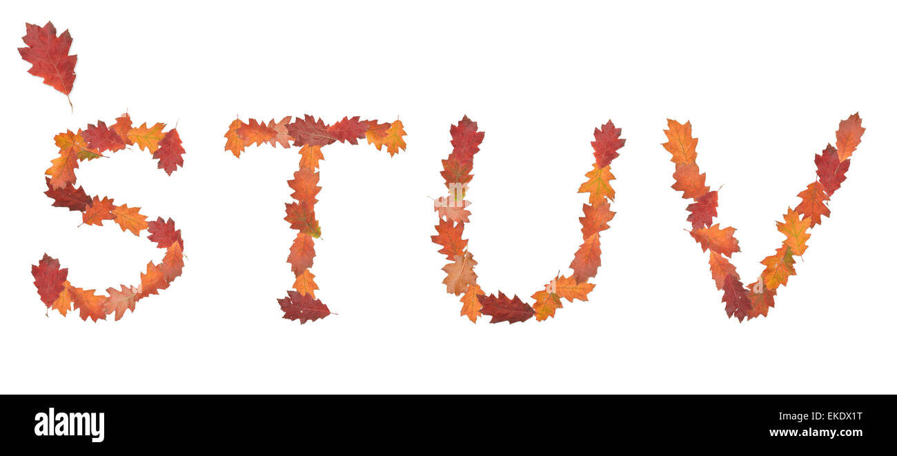 alphabet made of autumn leaves Stock Photo - Alamy