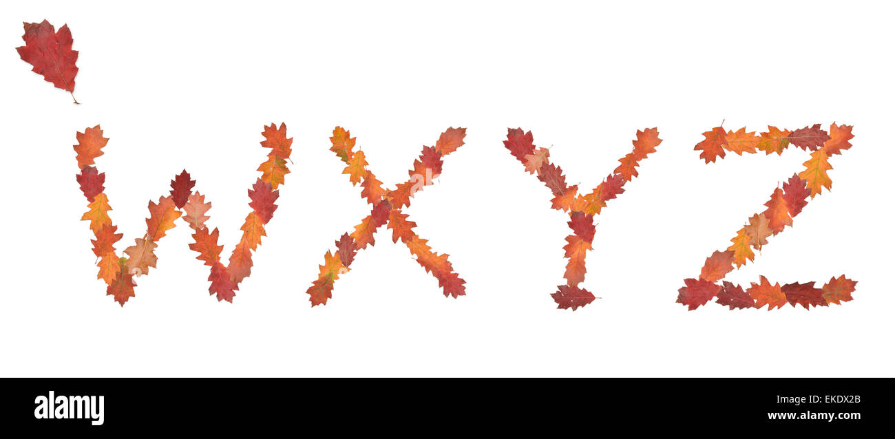 alphabet made of autumn leaves Stock Photo - Alamy