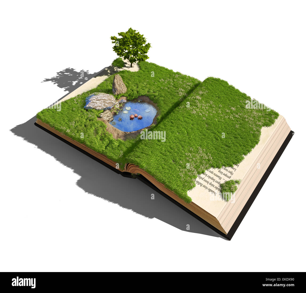 Magic book open Cut Out Stock Images & Pictures - Alamy