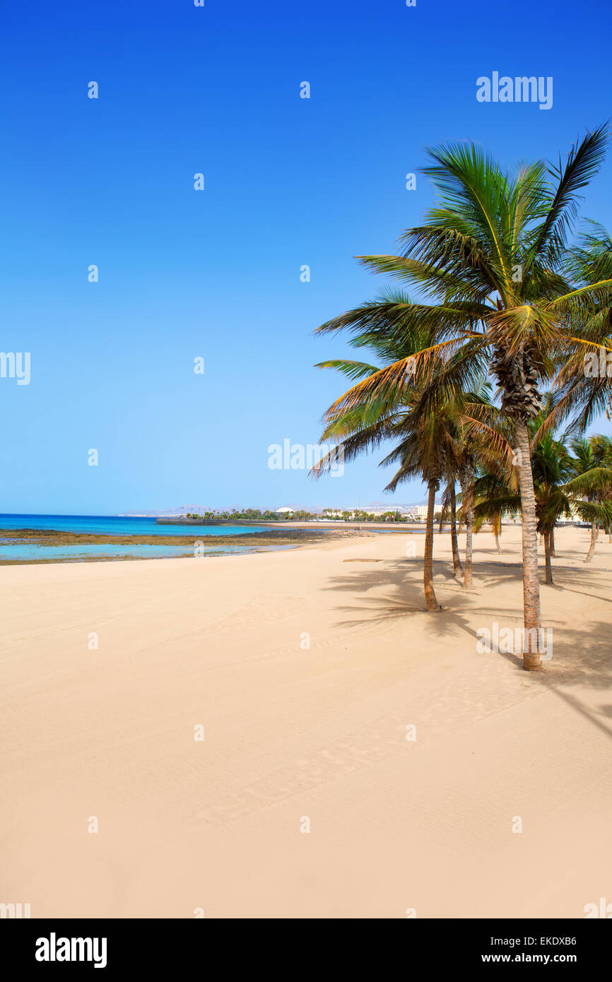 Arrecife Lanzarote Playa Reducto beach palm trees Stock Photo - Alamy