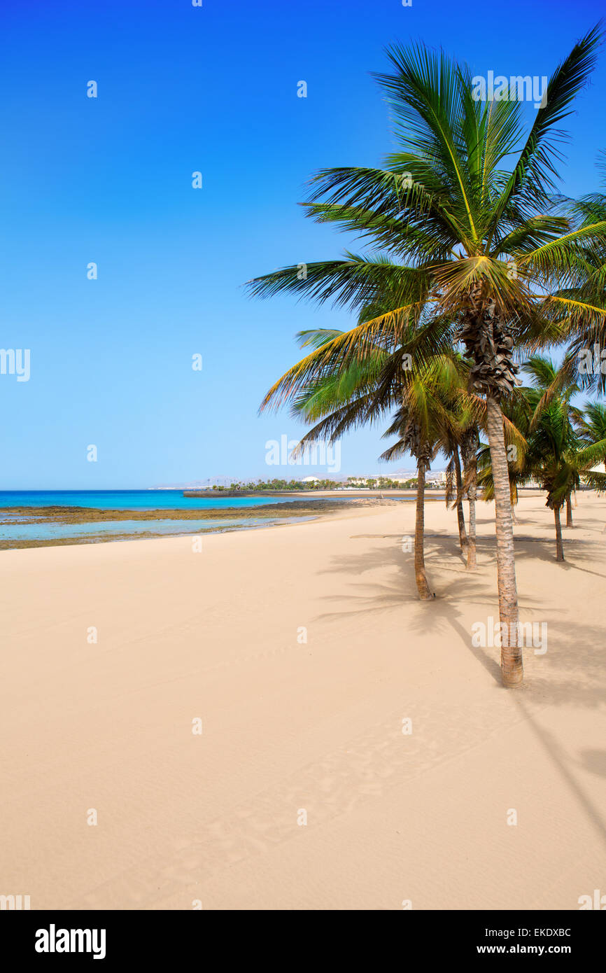 Arrecife Lanzarote Playa Reducto beach palm trees Stock Photo - Alamy