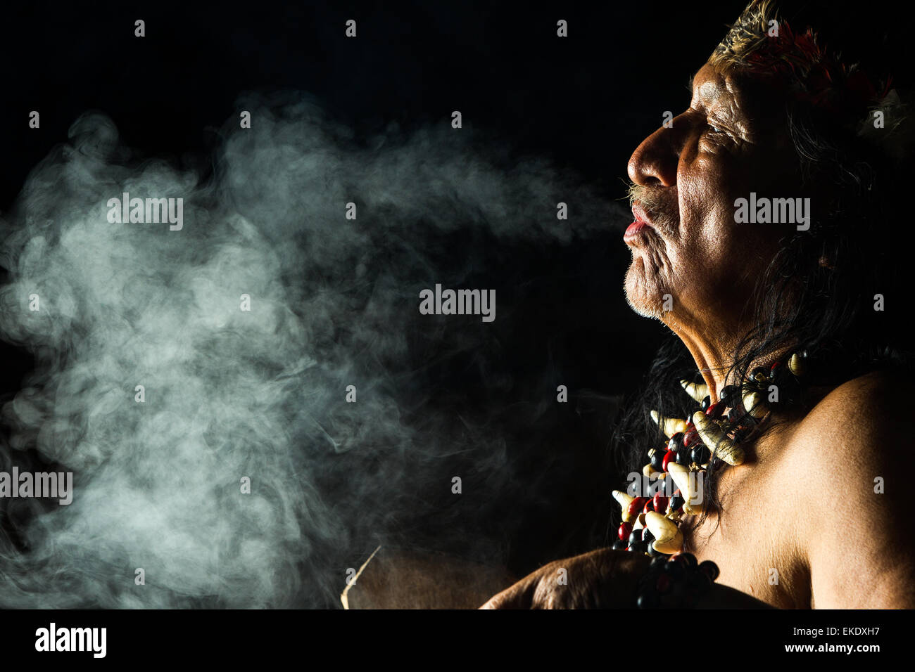 Shaman In Ecuadorian Amazonia During A Real Ayahuasca Ceremony Model ...