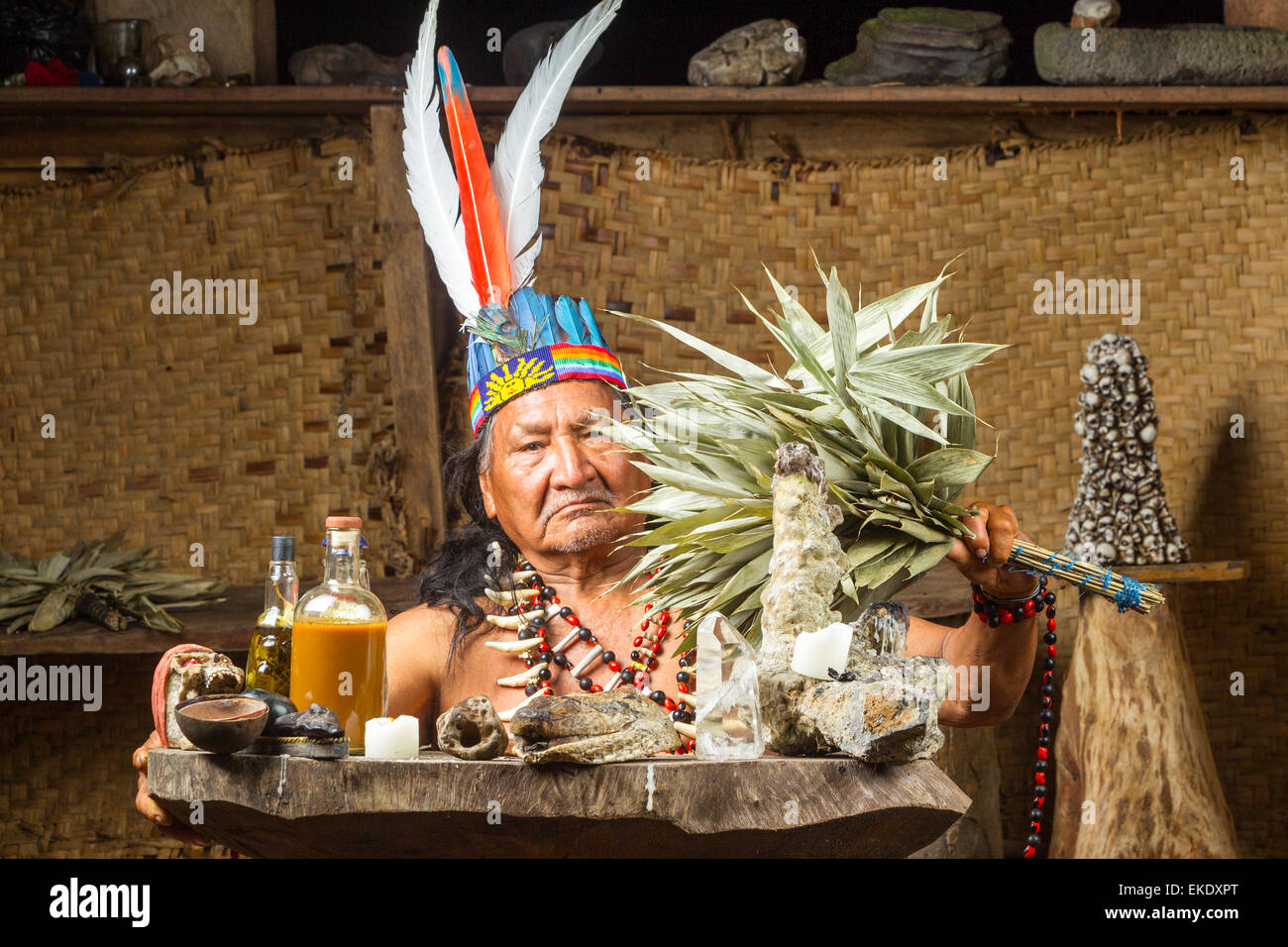 Shaman In Ecuadorian Amazonia During A Real Ayahuasca Ceremony Model ...
