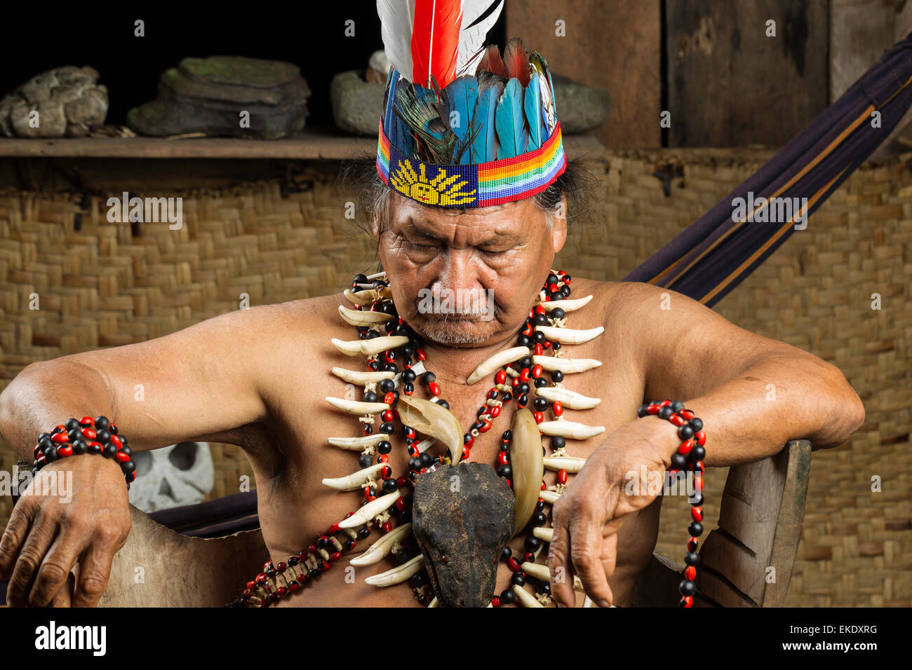 Shaman In Ecuadorian Amazonia During A Real Ayahuasca Ceremony Model ...
