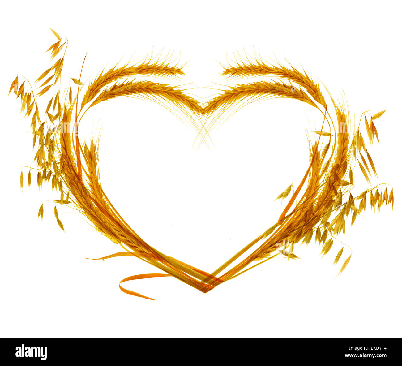 Soft white wheat field hi-res stock photography and images - Alamy